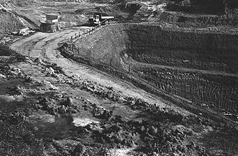 Landscapes 1990,93