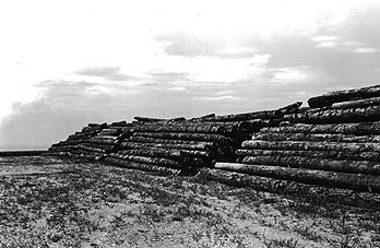 Landscapes 1990,93