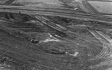 Landscapes 1990,93