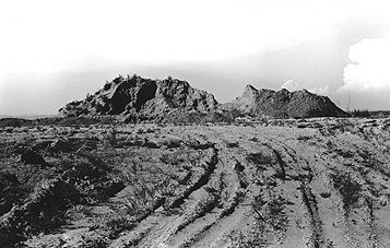 Landscapes 1990,93