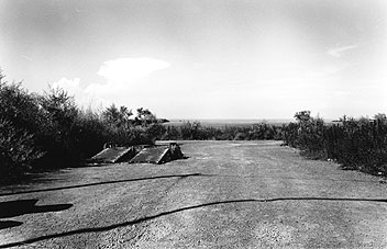 Landscapes 1990,93